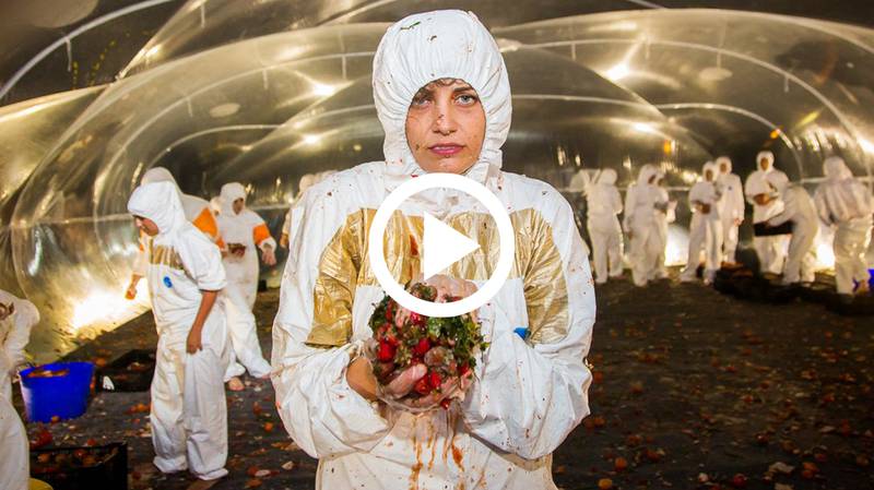 C3West Food Fight: Battle for Food Security | Learning resources | MCA ...