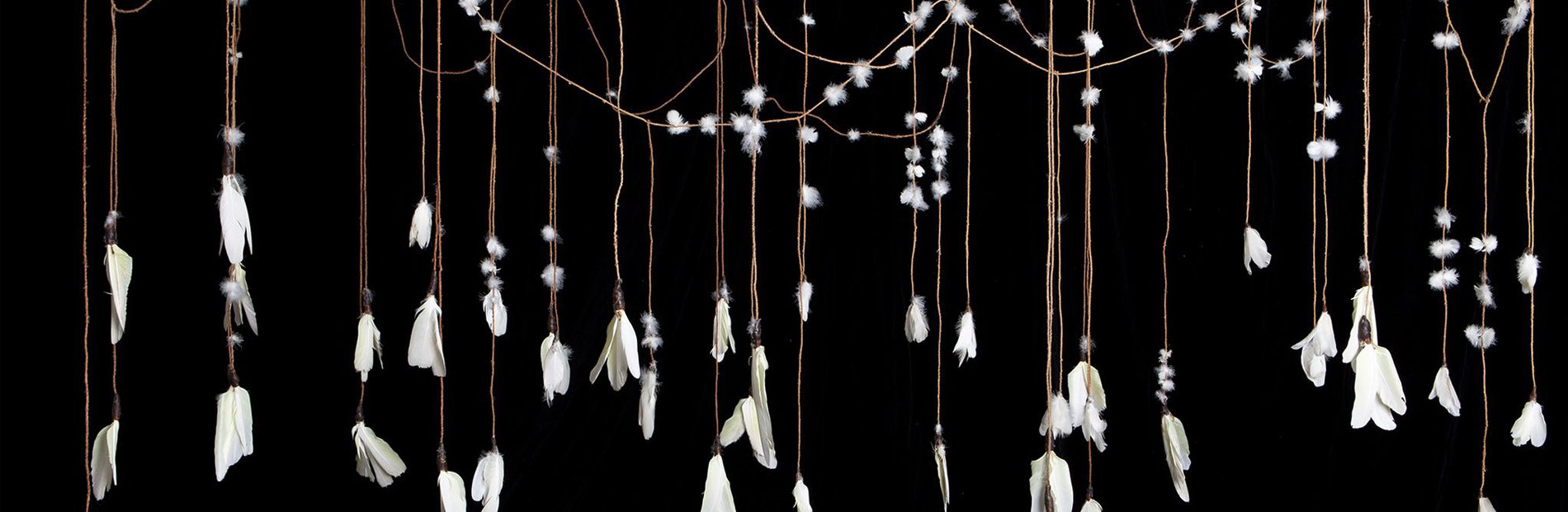 Compass | MCA Australia