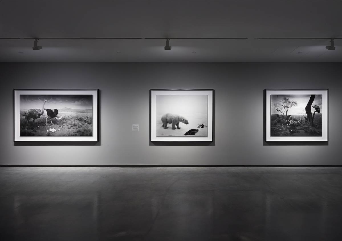 Hiroshi Sugimoto: Time Machine | MCA Australia
