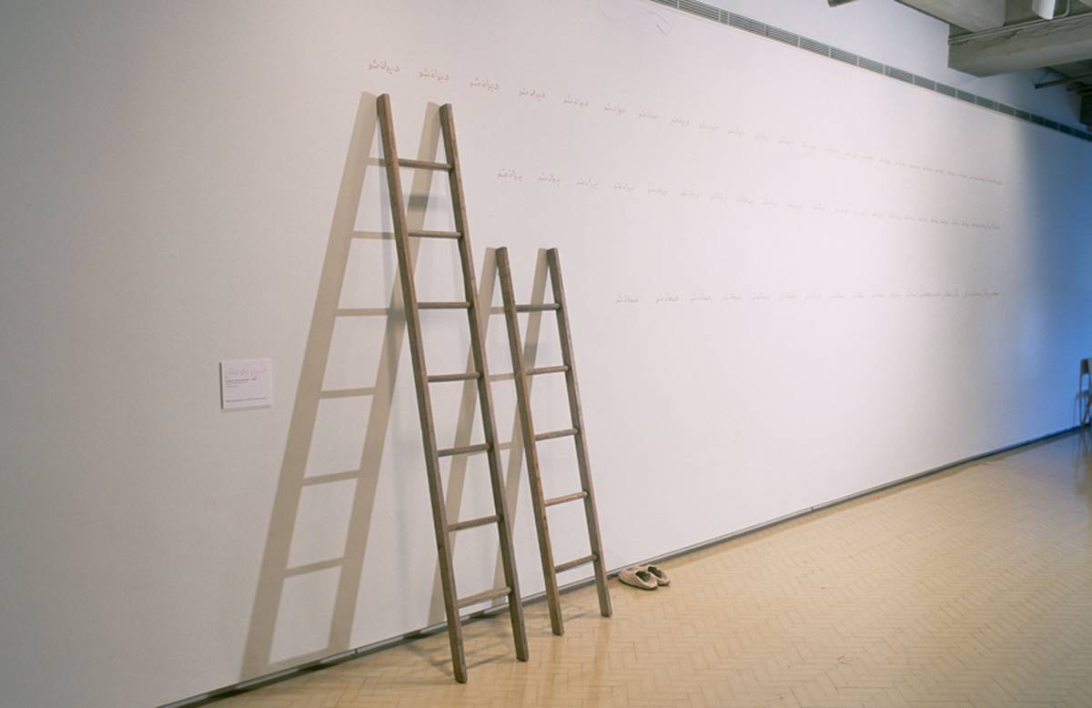 Tracing the Shadow: Hossein Valamanesh | Exhibitions | MCA Australia