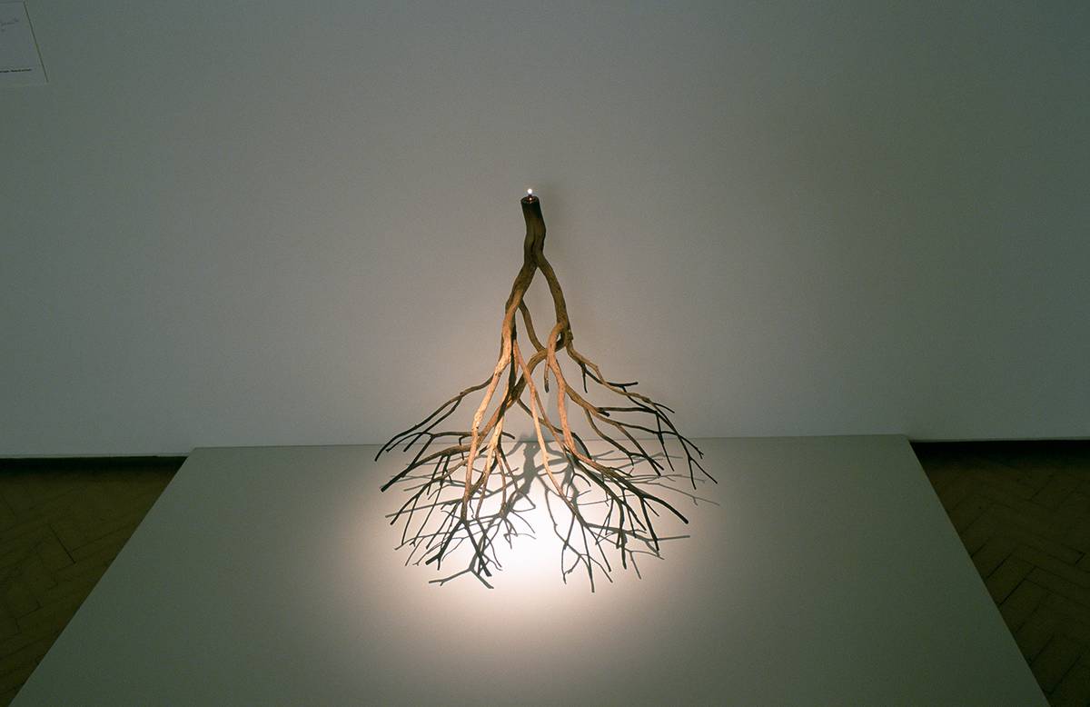 Tracing the Shadow: Hossein Valamanesh | Exhibitions | MCA Australia