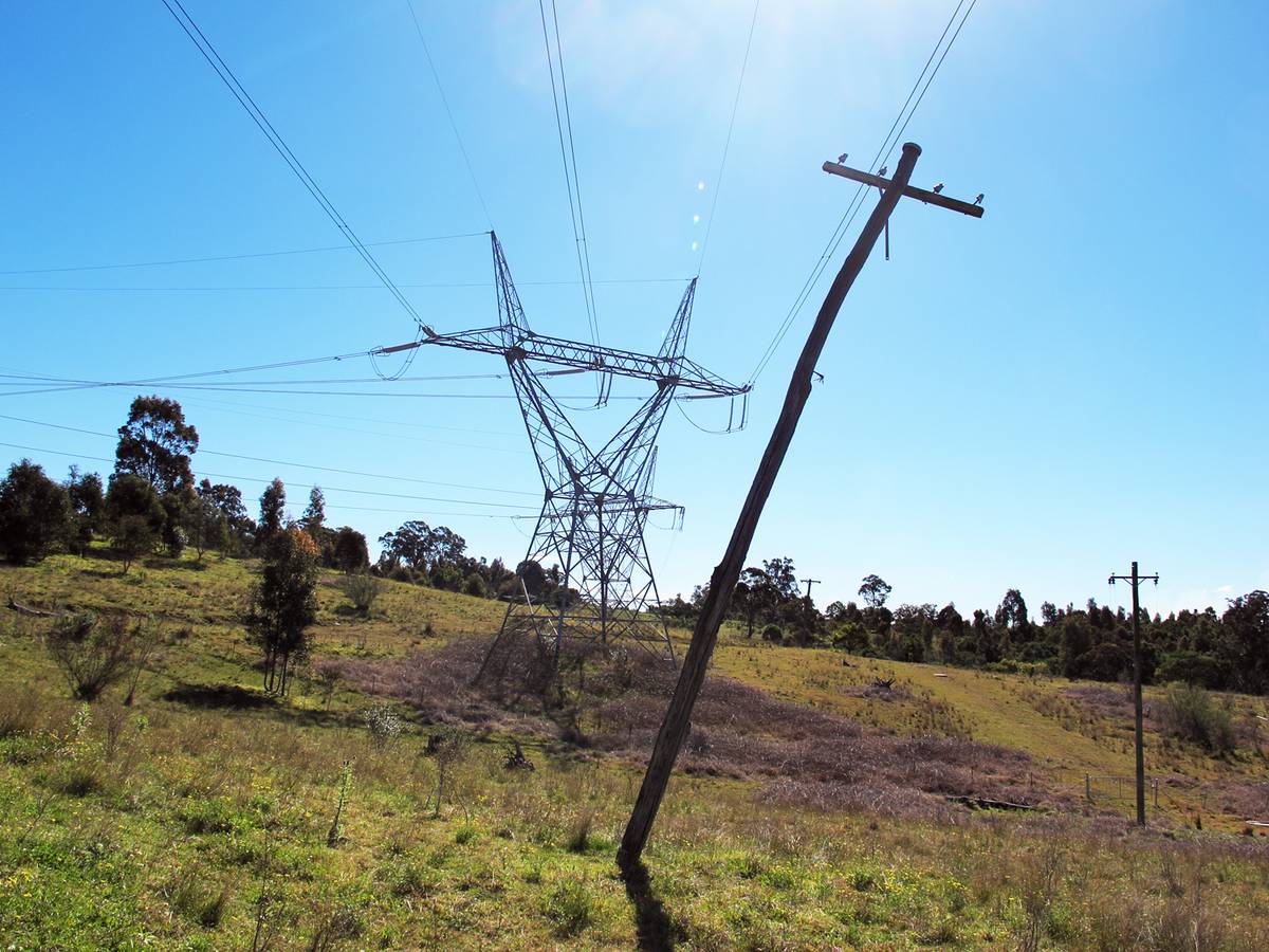 C3West | Garry Trinh: Within Walking Distance | MCA Australia