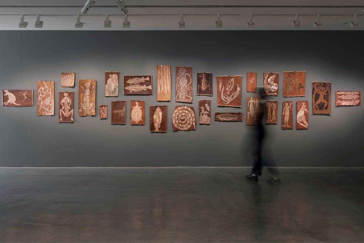 MCA Collection: Artists in Focus | MCA Australia