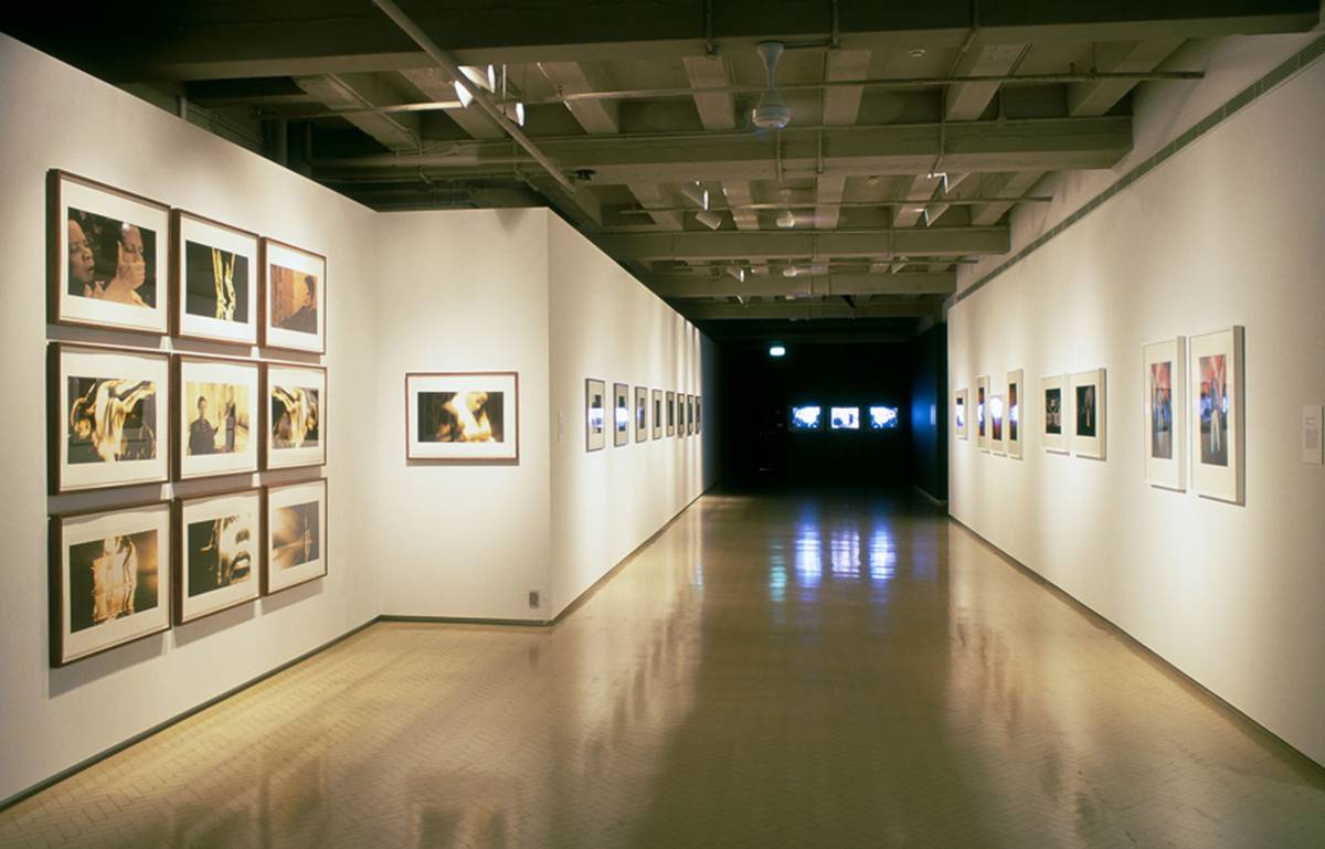 The Film Art of Isaac Julien | Exhibitions | MCA Australia