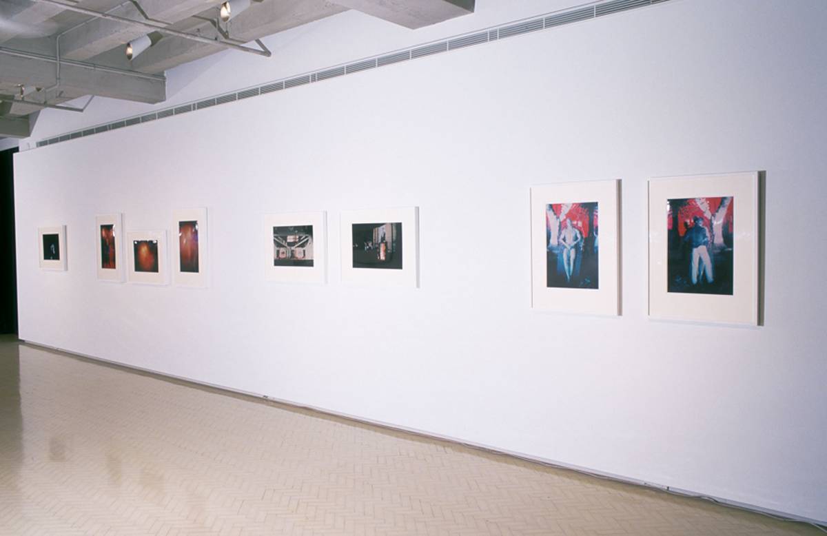 The Film Art of Isaac Julien | Exhibitions | MCA Australia