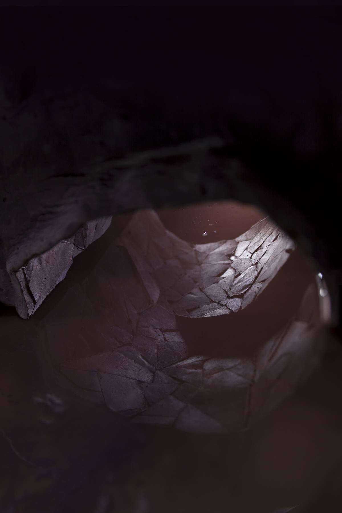 Primavera 2013 (22nd) | Exhibitions | MCA Australia