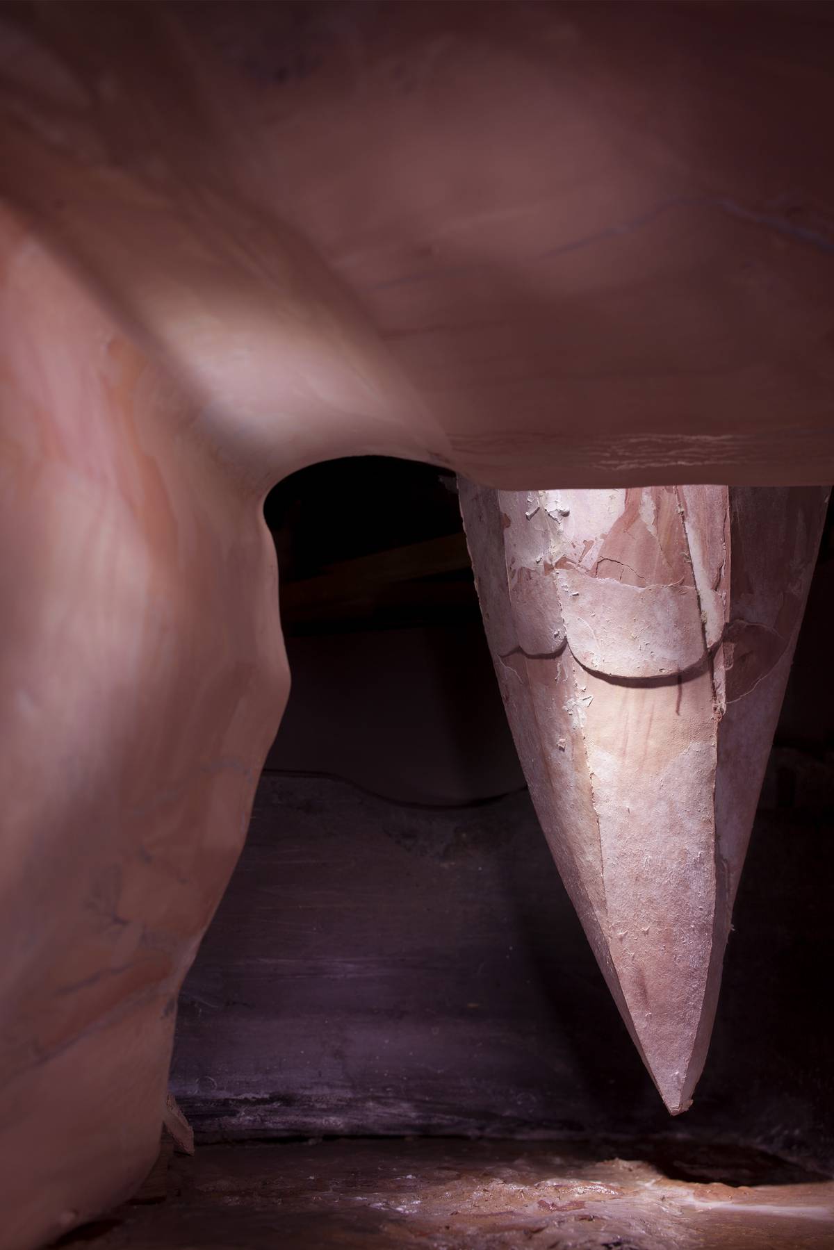 Primavera 2013 (22nd) | Exhibitions | MCA Australia