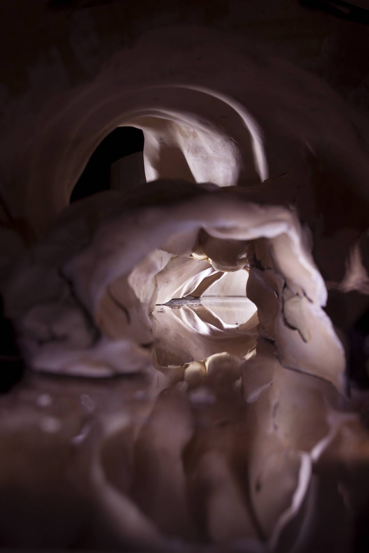 Primavera 2013 (22nd) | Exhibitions | MCA Australia
