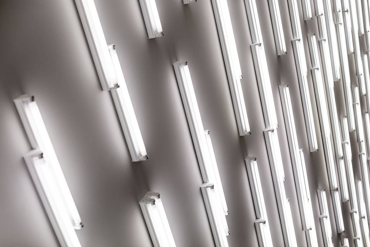 MCA Collection: Jonathan Jones, naa (to see or look) | MCA Australia