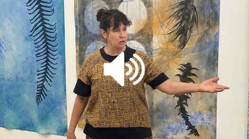 Judy Watson | MCA Australia