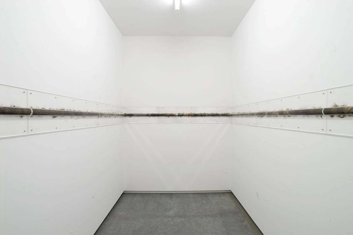 Julie Rrap: Body Double | Exhibitions | MCA Australia