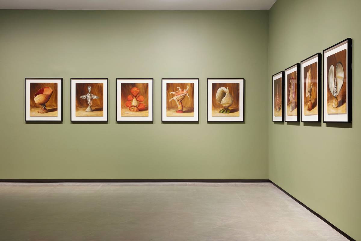 Primavera 2023: Young Australian Artists | MCA Australia