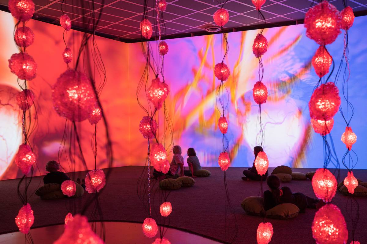 Pipilotti Rist: Sip My Ocean | Stories & ideas | MCA Australia