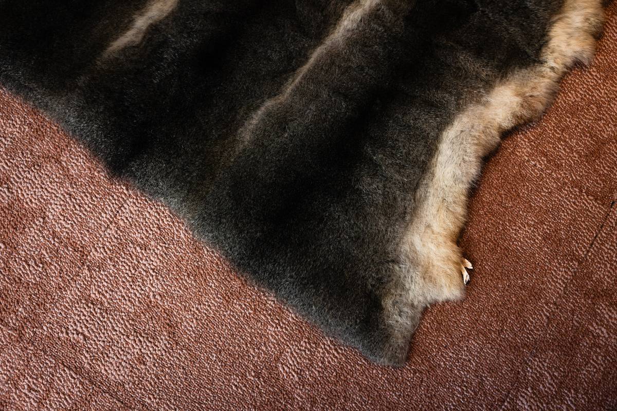 Lucy Simpson, Holding Ground, 2023 | MCA Australia