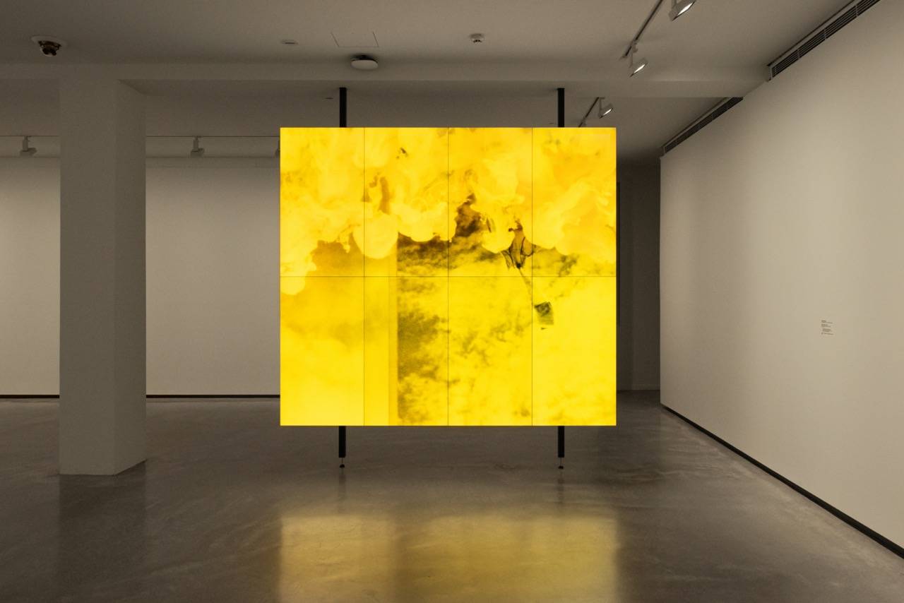 Mnemosyne by David Noonan | MCA Australia