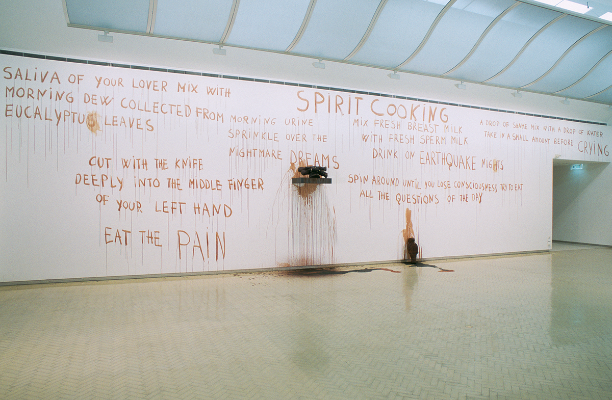 Marina Abramovic Objects Performance Video Sound Mca Australia
