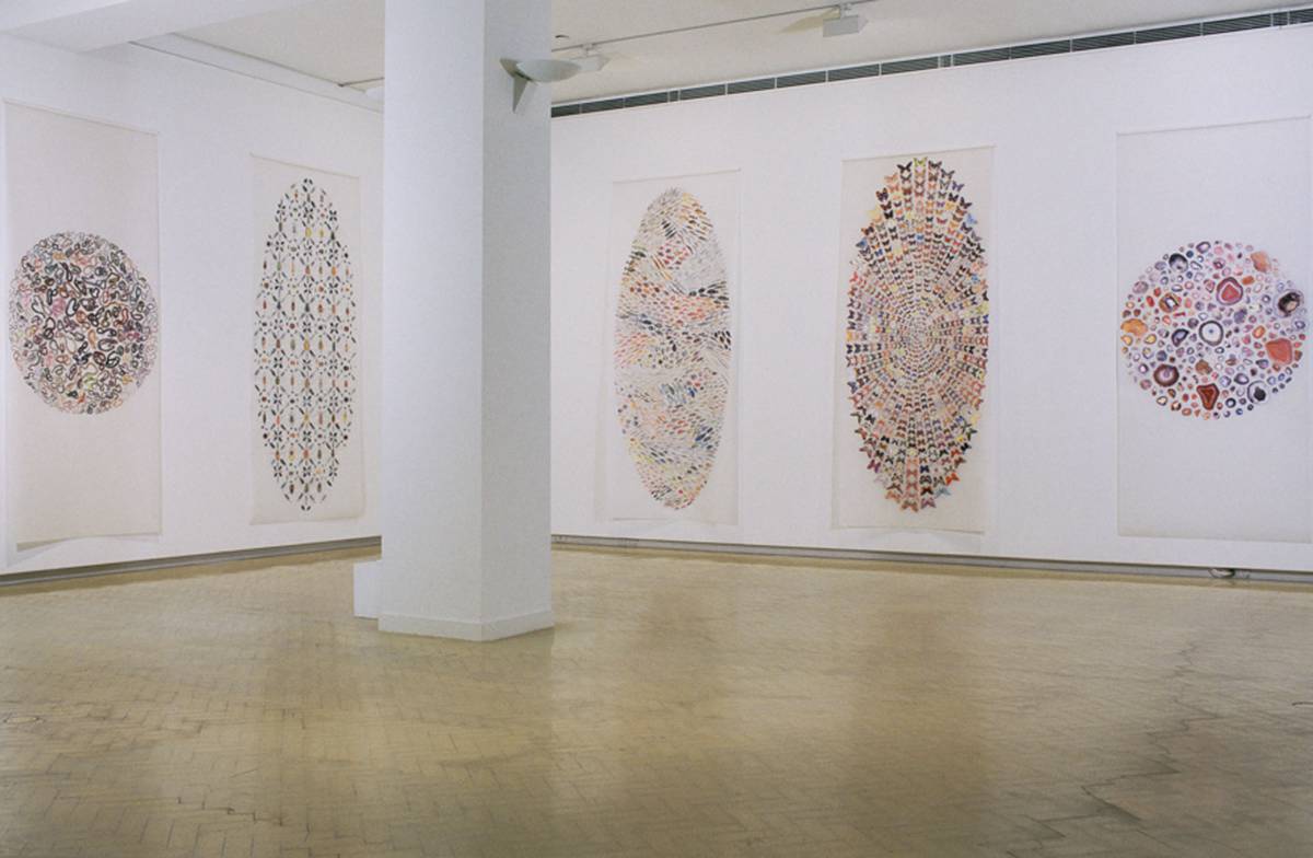 Australian Perspecta 1997: Between Art and Nature | Exhibitions | MCA ...