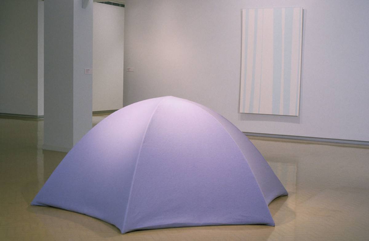 Primavera 1995: Young Australian Artists | Exhibitions | MCA Australia