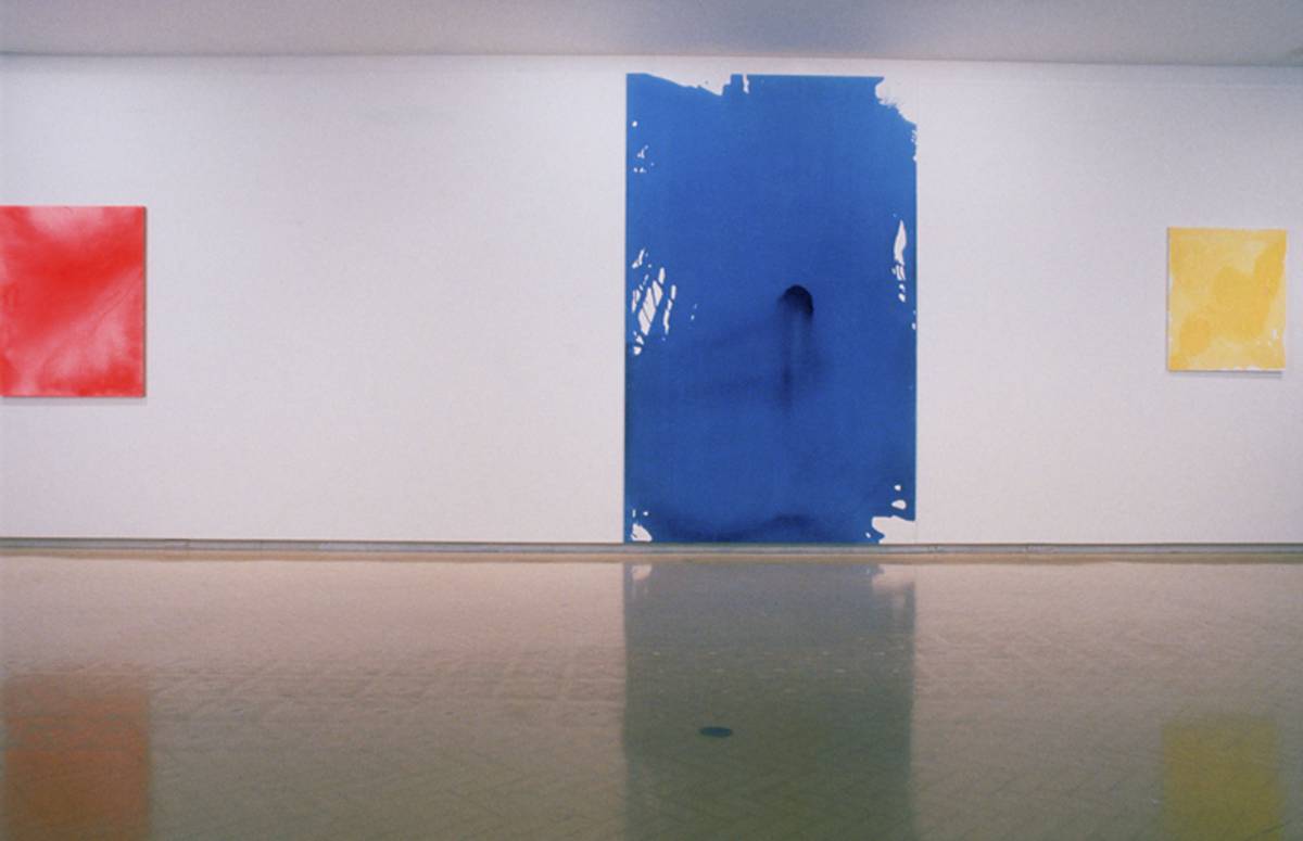 Primavera 1995: Young Australian Artists | Exhibitions | MCA Australia