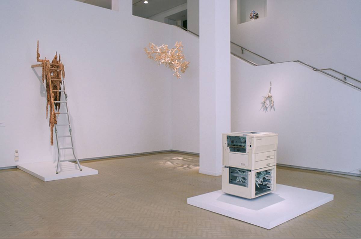 Primavera 2004: Young Australian Artists | Exhibitions | MCA Australia