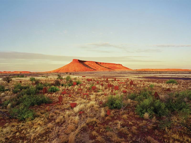 Mike Parr | MCA Australia