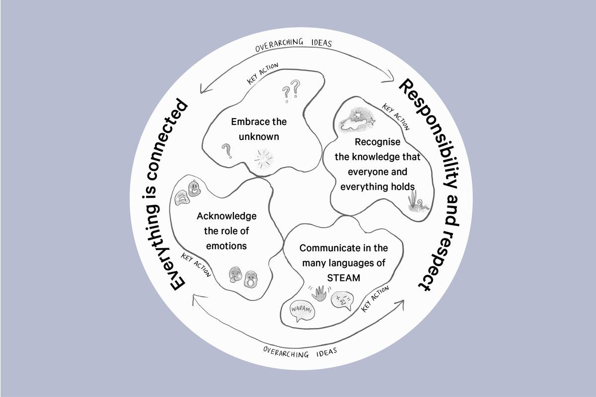 STEAM and contemporary art | Learning resources | Learning | MCA Australia