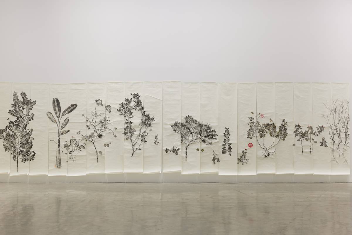 Maria’s Garden by Simryn Gill | MCA Australia