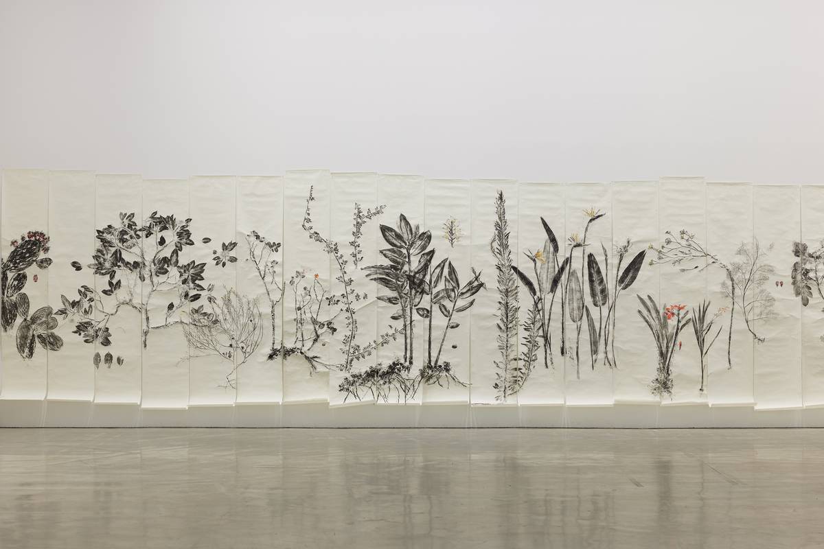 Maria’s Garden by Simryn Gill | MCA Australia