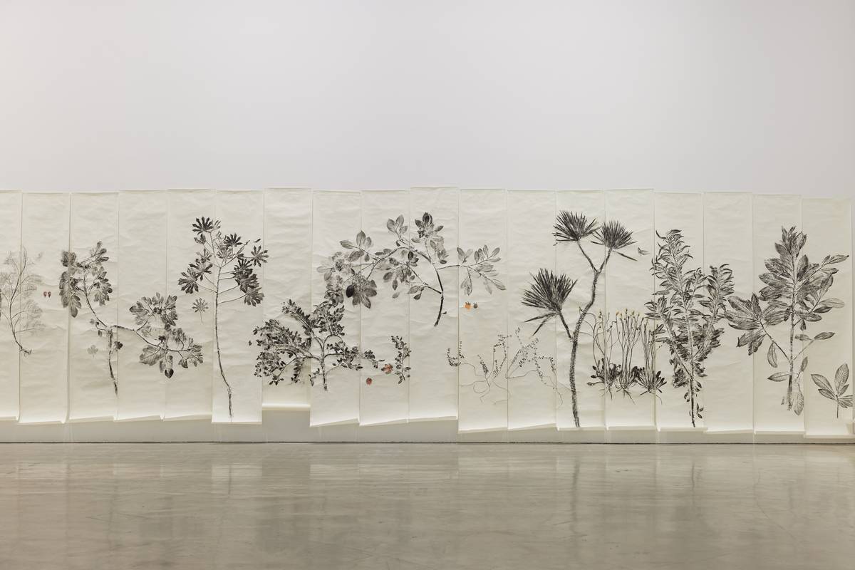 Maria’s Garden by Simryn Gill | MCA Australia