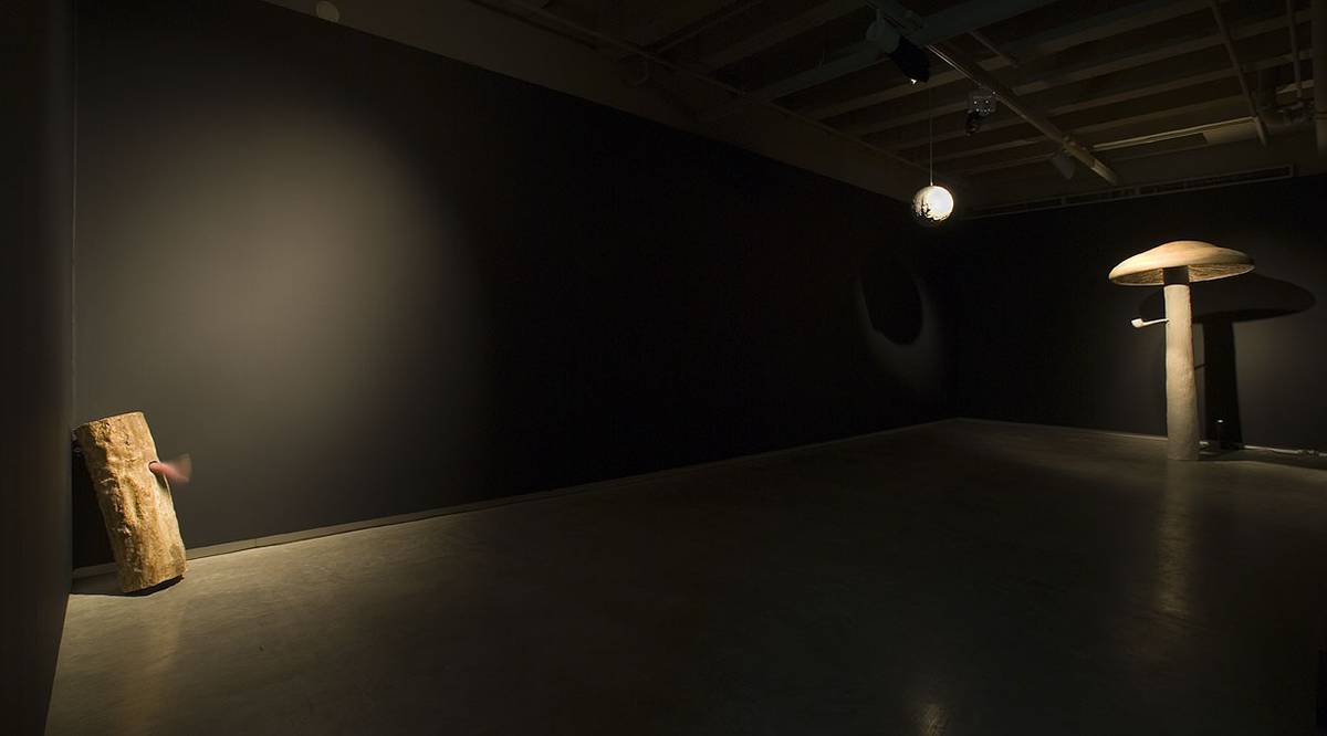 Stephen Birch: looking out my back door | Exhibitions | MCA Australia