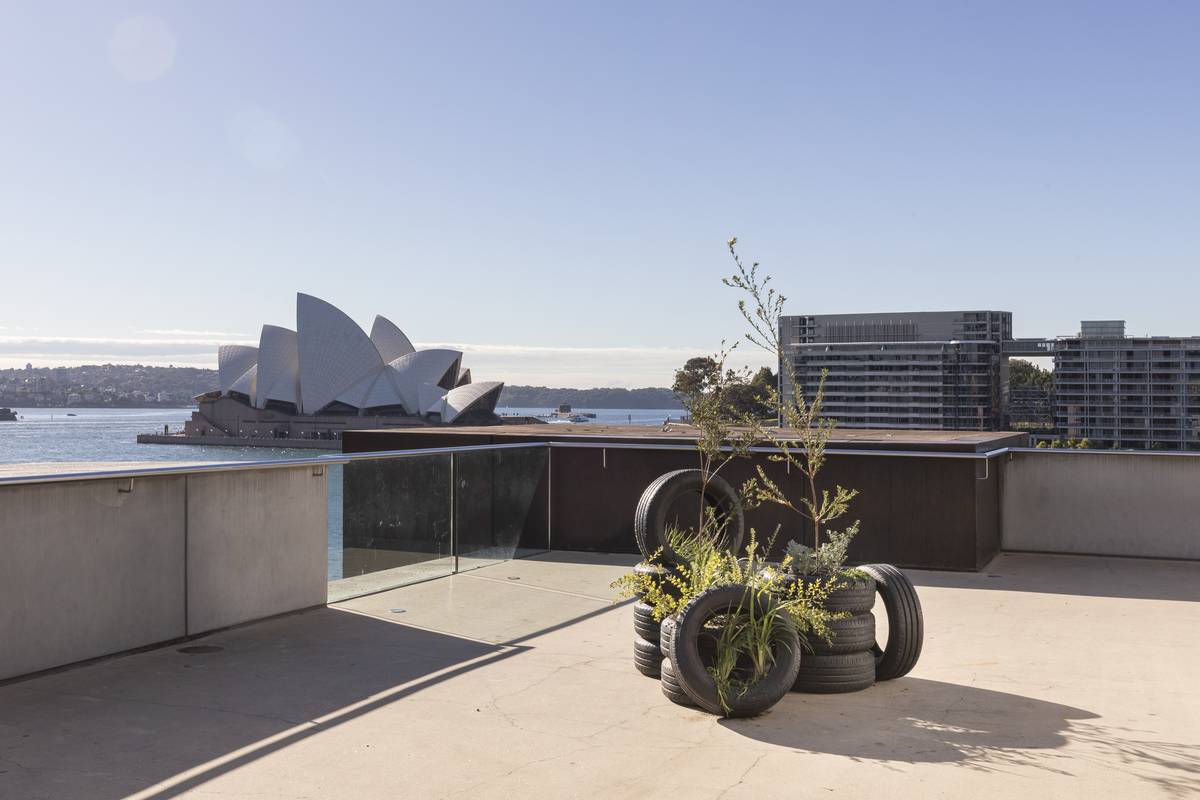 Steve Carr, In Bloom (IndigiGrow), 2023 for Loti Smorgon Sculpture ...