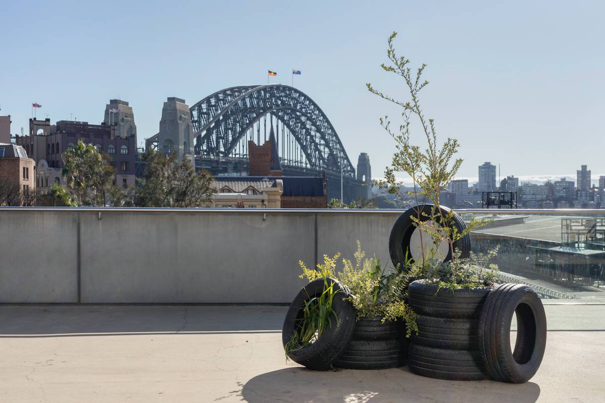 Steve Carr, In Bloom (IndigiGrow), 2023 for Loti Smorgon Sculpture ...