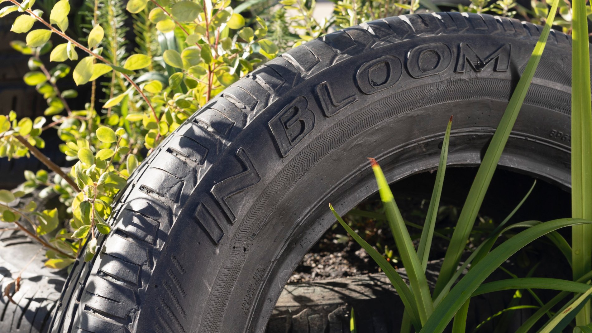 Steve Carr, In Bloom (IndigiGrow), 2023 for Loti Smorgon Sculpture ...