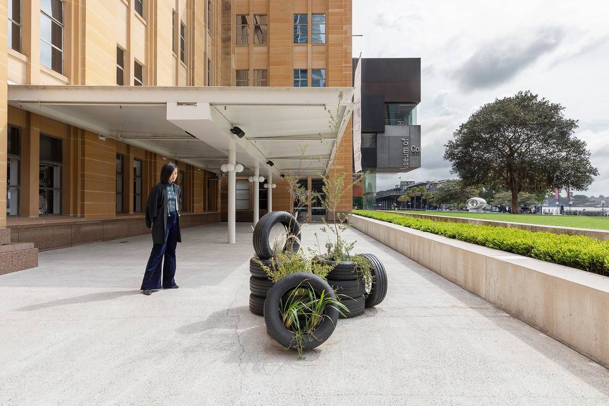 Steve Carr, In Bloom (IndigiGrow), 2023 for Loti Smorgon Sculpture ...