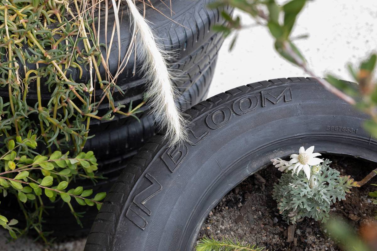 Steve Carr, In Bloom (IndigiGrow), 2023 for Loti Smorgon Sculpture ...