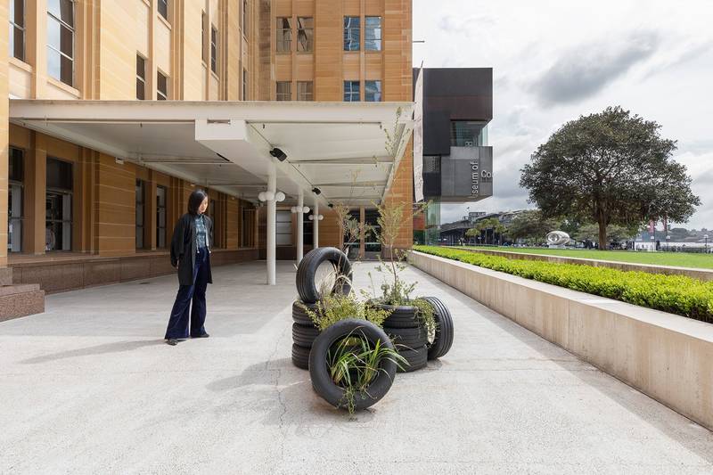 Steve Carr, In Bloom (IndigiGrow), 2023 for Loti Smorgon Sculpture ...