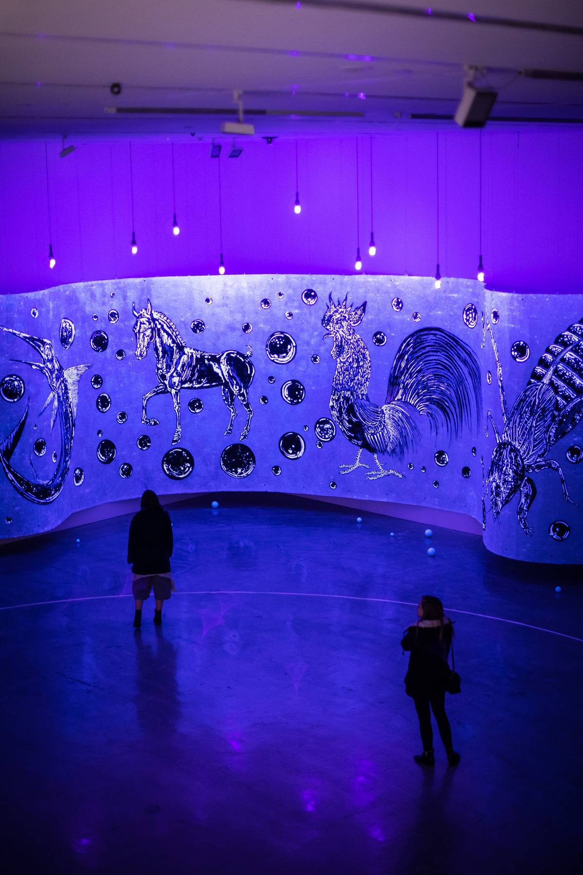 Sun Xun | MCA Australia