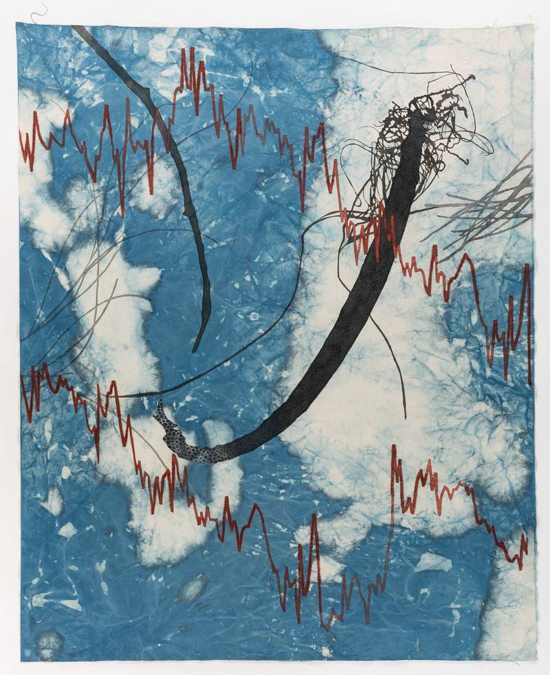 Judy Watson | MCA Australia