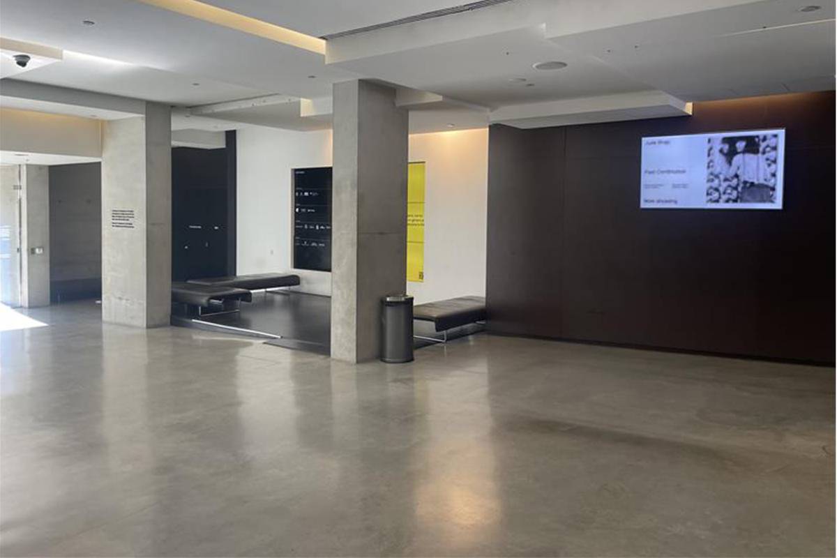 Visual story: The MCA Mega Draw | MCA Australia