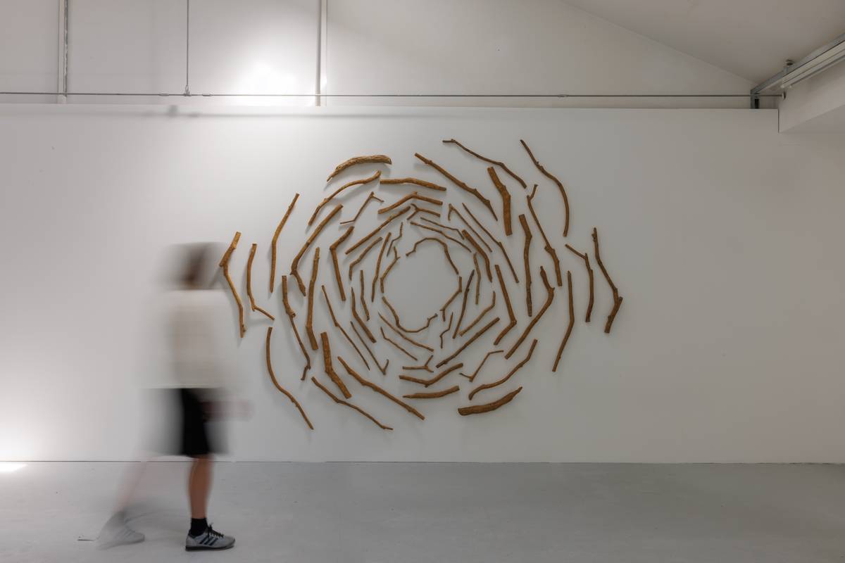 Yasmin Smith: Elemental Life | MCA Australia
