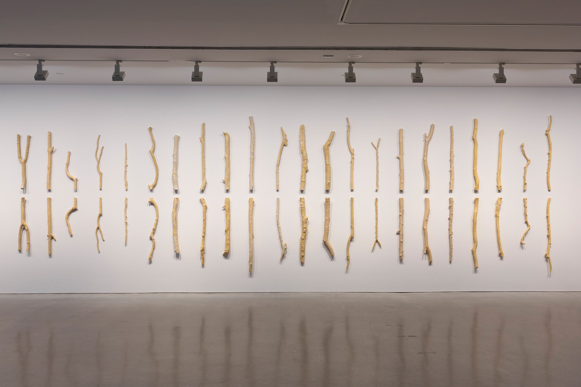 Yasmin Smith: Elemental Life | MCA Australia