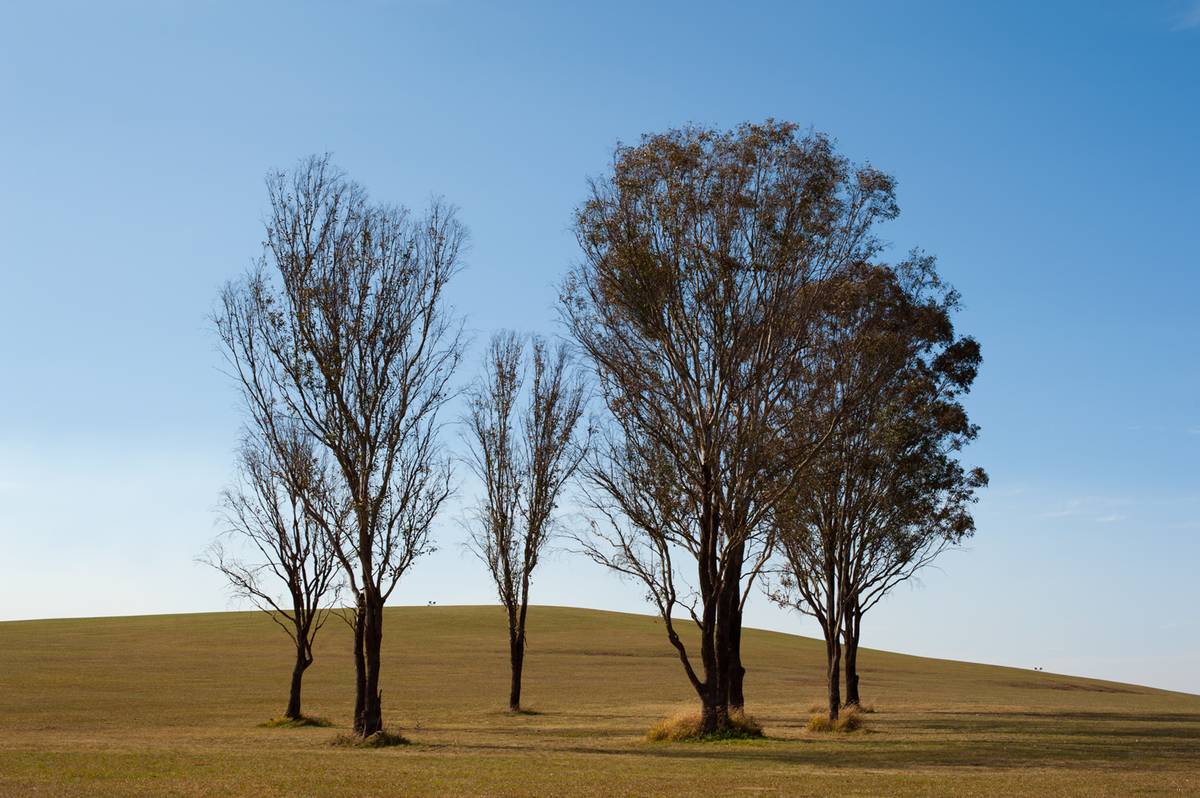 C3West | Garry Trinh: Within Walking Distance | MCA Australia