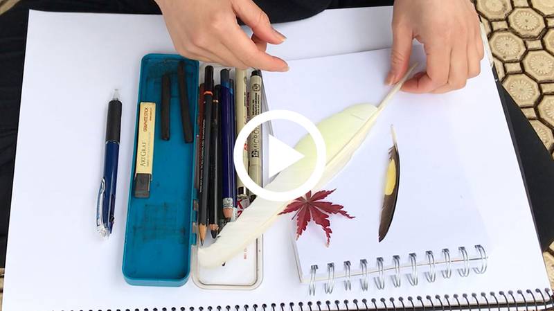 Creative insights: approaches to art | MCA Australia