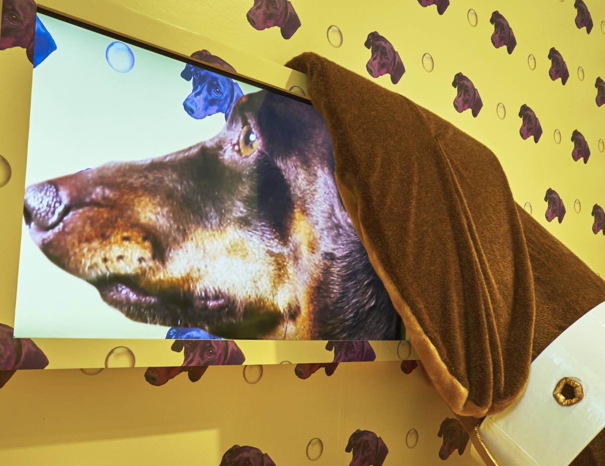 David Capra, Teena's Bathtime, 2015 | MCA Australia