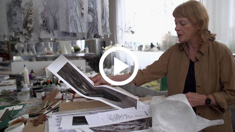 Janet Laurence | MCA Australia