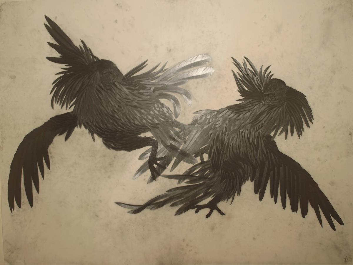 Lucienne Rickard | Primavera 2014: Young Australian Artists ...