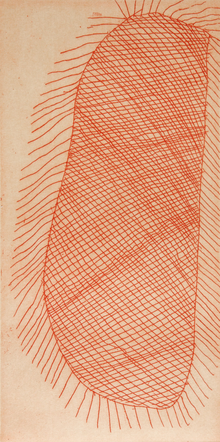 Compass | MCA Australia