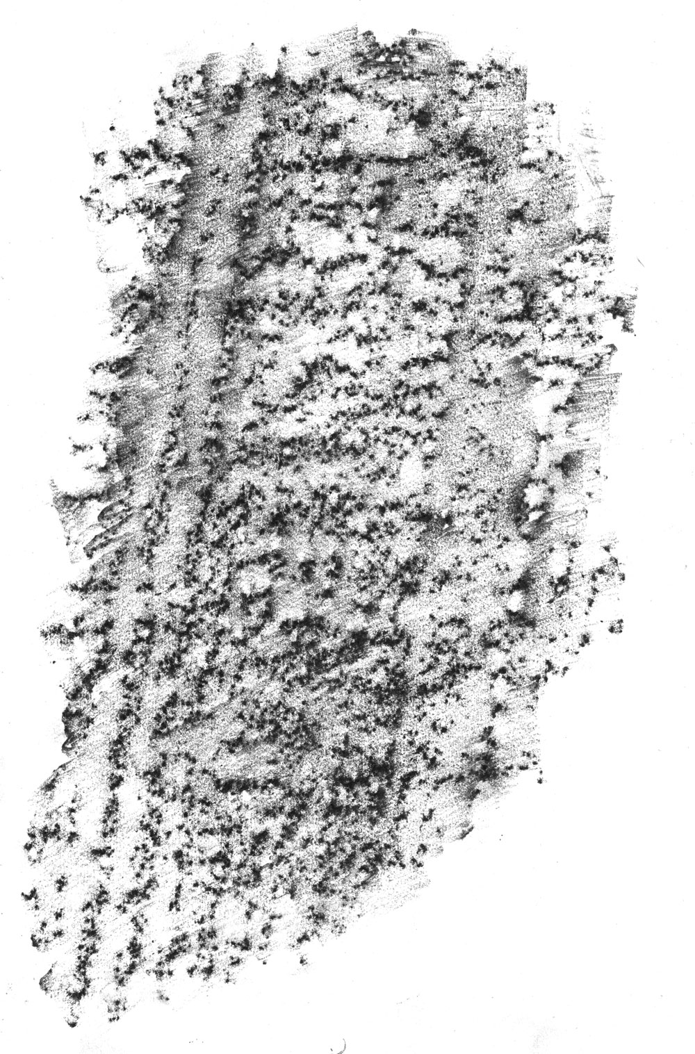 Artist Voice: Bianca Hester | MCA Australia