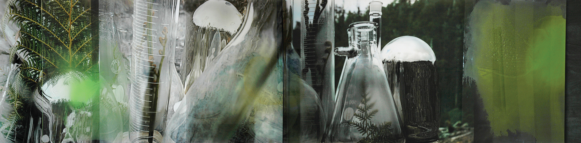 After Nature: Janet Laurence | Stories & ideas | MCA Australia