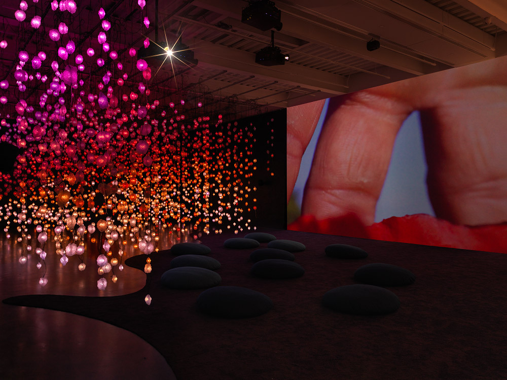 Pipilotti Rist: Sip My Ocean | Stories & ideas | MCA Australia